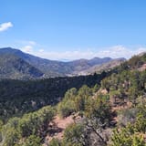 Carlito Springs Loop, New Mexico - 462 Reviews, Map | AllTrails