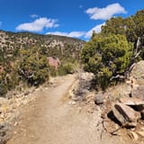 Carlito Springs Loop, New Mexico - 462 Reviews, Map | AllTrails