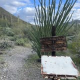 Table Top Mountain Trail, Arizona - 77 Reviews, Map | AllTrails