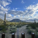Table Top Mountain Trail, Arizona - 77 Reviews, Map | AllTrails