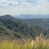 Hollyridge Trail to Hollywood Sign Viewpoint, California - 5,095 ...