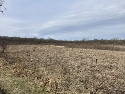 Best Hikes and Trails in Blackhawk Springs County Forest Preserve ...