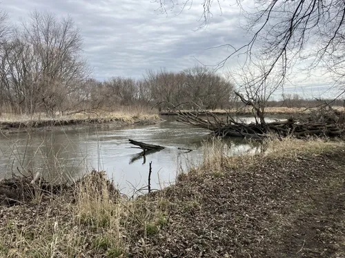 Best Hikes and Trails in Oak Ridge Forest Preserve | AllTrails