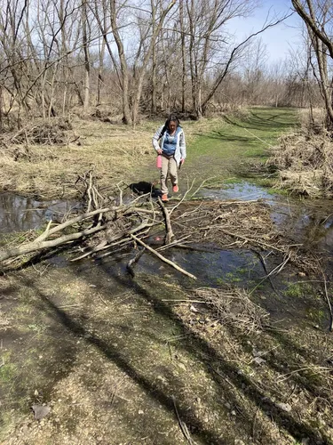 Best Hikes and Trails in Oak Ridge Forest Preserve | AllTrails