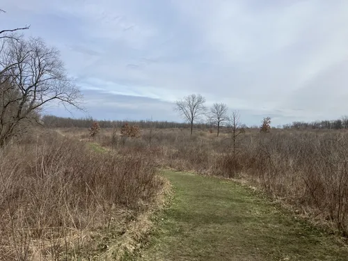 Best Hikes and Trails in Blackhawk Springs County Forest Preserve ...