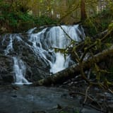 Mima Falls East Trail, Washington - 1,816 Reviews, Map | AllTrails