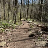 Cedar Falls Trail, Arkansas - 1,860 Reviews, Map | AllTrails