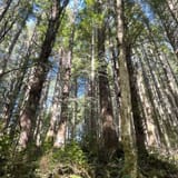 Amanda's Trail, Oregon - 493 Reviews, Map | AllTrails