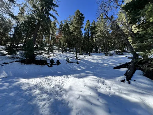 Best Hikes and Trails in Tehachapi Mountain Park | AllTrails