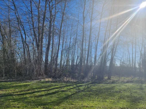 Best Hikes and Trails in Shillapoo Wildlife Recreation Area | AllTrails