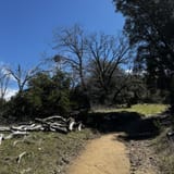 Volcan Mountain Trail, California - 3,978 Reviews, Map | AllTrails
