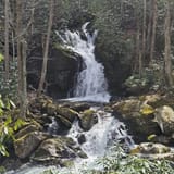 Mouse Creek Falls via Big Creek Trail, Tennessee - 2,646 Reviews, Map ...