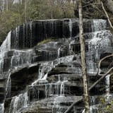 Yellow Branch Falls Trail, South Carolina - 2,642 Reviews, Map | AllTrails