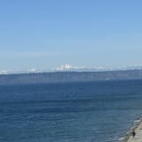Marine View Park Loop Trail, Washington - 540 Reviews, Map | AllTrails