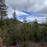 Chamisa Trail, New Mexico - 1,318 Reviews, Map | AllTrails