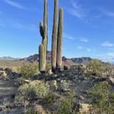 Hawes Trail System Loop, Arizona - 1,046 Reviews, Map | AllTrails