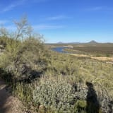 Hawes Trail System Loop, Arizona - 1,046 Reviews, Map | AllTrails