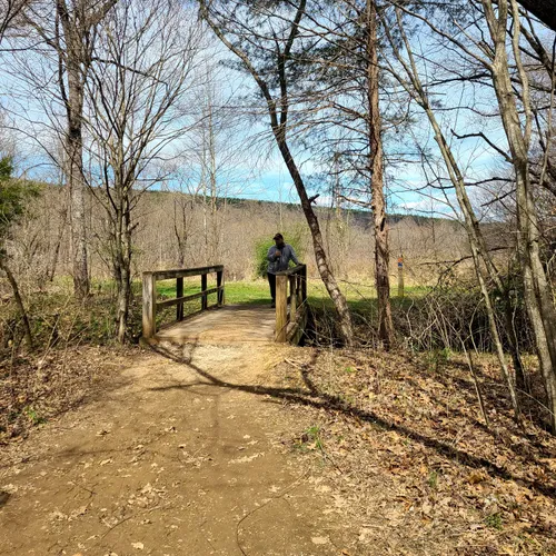 Best Forest Trails in Wingina | AllTrails