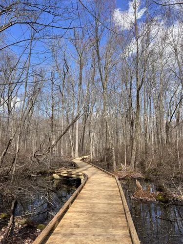 Best Hikes and Trails in Great Swamp National Wildlife Refuge | AllTrails