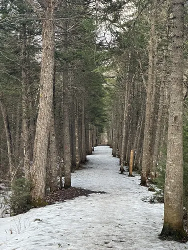 Best Hikes and Trails in Irishtown Nature Park | AllTrails