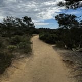 Red Butte, Yucca Point, and Razor Point Trail, California - 1,473 ...