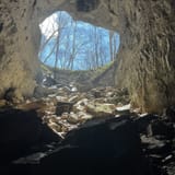 Stephens Gap Cave Trail, Alabama - 405 Reviews, Map | AllTrails