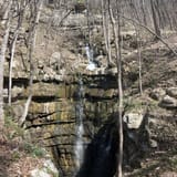 Stephens Gap Cave Trail, Alabama - 405 Reviews, Map | AllTrails