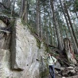 Heybrook Ridge via Leovy Trail, Washington - 1,590 Reviews, Map | AllTrails