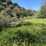 Murphy Ranch Trail, California - 3,615 Reviews, Map | AllTrails