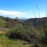 Murphy Ranch Trail, California - 3,625 Reviews, Map | AllTrails