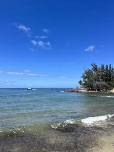 Best Hikes and Trails in Puaena Point Beach Park | AllTrails