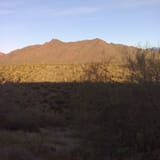 Coon Bluff Trail, Arizona - 775 Reviews, Map | AllTrails