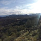 Coon Bluff Trail, Arizona - 775 Reviews, Map | AllTrails