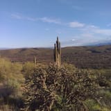 Coon Bluff Trail, Arizona - 775 Reviews, Map | AllTrails