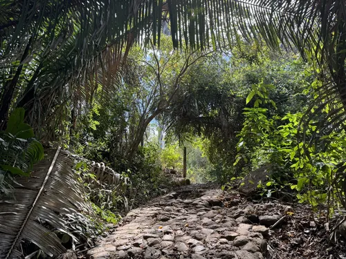 Best Beach Trails in Las Varas | AllTrails