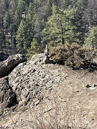 Best Hikes and Trails in Stillwater State Forest | AllTrails