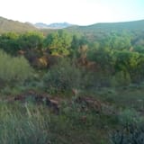 Coon Bluff Trail, Arizona - 708 Reviews, Map | AllTrails