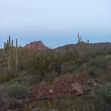 Coon Bluff Trail, Arizona - 708 Reviews, Map | AllTrails