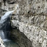 Walls of Jericho Trail, Alabama - 2,301 Reviews, Map | AllTrails