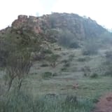 Coon Bluff Trail, Arizona - 708 Reviews, Map | AllTrails