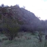 Coon Bluff Trail, Arizona - 708 Reviews, Map | AllTrails