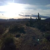 Coon Bluff Trail, Arizona - 775 Reviews, Map | AllTrails