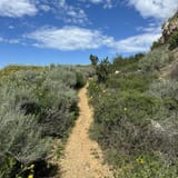 Forrestal Preserve Loop, California - 1,283 Reviews, Map | AllTrails