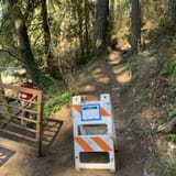 Lake to Lake Trail Loop via Lacamas Creek, Washington - 2,040 Reviews ...