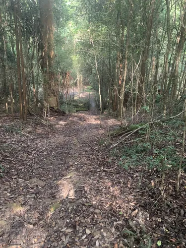 Best Walking Trails in Jilliby State Conservation Area | AllTrails