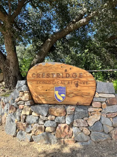 Best Forest Trails in Crestridge Ecological Reserve | AllTrails