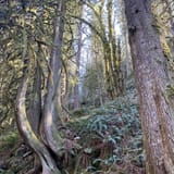 Granite Falls (Fish Ladder) Trail, Washington - 647 Reviews, Map ...