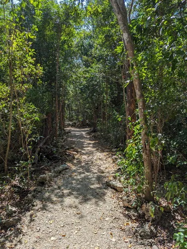 Best Hikes and Trails in John Pennekamp Coral Reef State Park | AllTrails