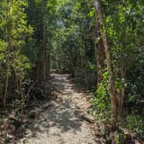 Wild Tamarind Trail, Florida - 230 Reviews, Map | AllTrails