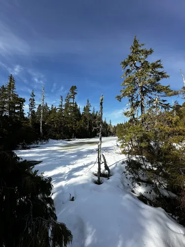 Best Hikes and Trails in Kitamaat Village | AllTrails